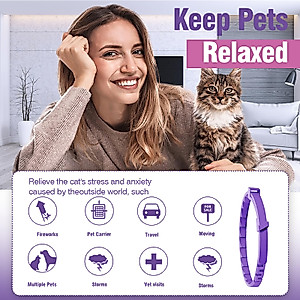 Cat Calming Collar Calming Collar for Cats 3 Pack Calming Cat Collar Relieve Stress and Anxiety Calming Collar Relax Cat Pheromone Collar Suitable for Small Medium and Large Cats Calming Cat Collars