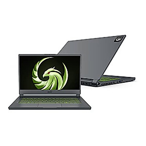 2022 MSI Delta 15 A5EFK-097 (AMD Ryzen 7 5800H, 64GB RAM, 1TB NVMe SSD, Radeon RX6700M, 15.6" Full HD, Windows 11) Gaming Laptop