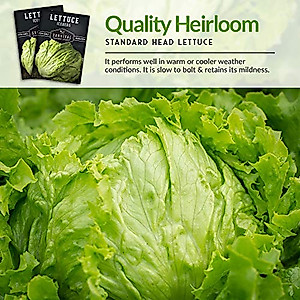 Survival Garden Seeds - Iceberg Lettuce Seed for Planting - Packet with Instructions to Plant and Grow Crisp Head Lettuce in Your Home Vegetable Garden - Non-GMO Heirloom Variety