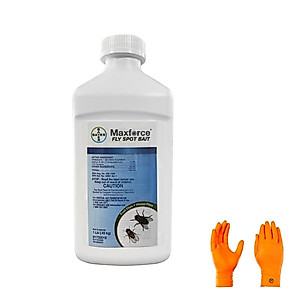 Maxforce Fly Spot Bait 1Lb | Premium USA Supply Gloves for Safe Eradication | USA Supply Pest ID Card