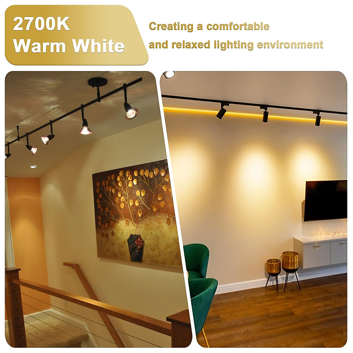 MR16 Halogen Bulb 35W 12V Halogen Light Bulbs 2 Pin GU5.3 Base Dimmable Spotlight with Clear Glass Cover for Landscape Lights, Track Lights, Desk Lamps, 2700K Warm White, 6 Pack