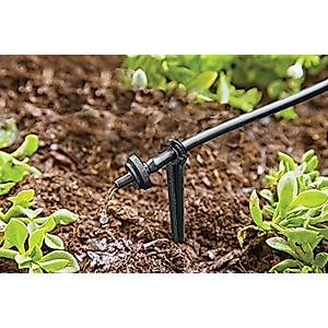 Raindrip R560DP Automatic Drip Irrigation Watering Kit with Timer for Containers and Hanging Baskets, Waters up to 20 Plants, Includes Timer with Customizable Settings and 20 PC Drippers,Black