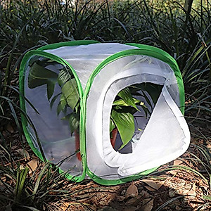 RESTCLOUD Insect and Butterfly Habitat Cage Terrarium Pop-up 12 X 12 X 12 Inches with Zipper Protection