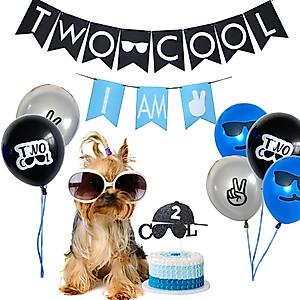 Two Cool Birthday Party Decorations Supplies, Two Cool Banner Cake Topper, I AM TWO Banner, Two Cool Balloons for Little Man Sunglasses 2nd Birthday Boy Party Supplies Decoration