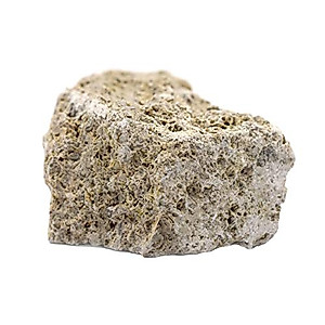 12PK Raw Fossiliferous Limestone, Sedimentary Rock Specimens - Approx. 1" - Geologist Selected & Hand Processed - Great for Science Classrooms - Class Pack - Eisco Labs