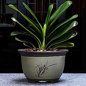 Purple Sand Flower Pot Green Cactus Orchid Pot Classical Large Medium and Small Flower Planter Round Ceramic Succulent Planter Pot Suitable for Indoor Longevity Flowers Cyclamen Orchid