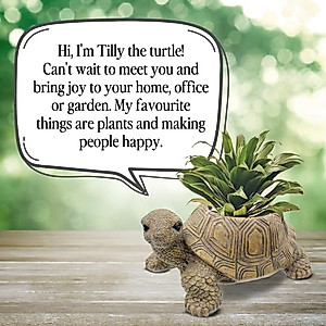 Turtle Planter for Succulents - Animal Planter for Indoor and Outdoor Plants, Turtle Pot Makes Ideal Gift for Any Turtle Lover