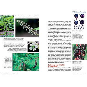 Edible Wild Plants, Volume 2: Wild Foods from Foraging to Feasting (Wild Food Adventure)