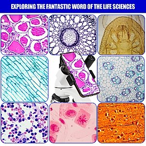 Compound Binocular Microscope, WF10x and WF25x Eyepieces,40X-2000X Magnification, LED Illumination Two-Layer Mechanical Stage (Binocular Four-Hole Microscope)