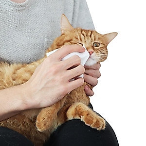 ALL FOR PAWS Dog Eye Wipes Ear Wash Pads Gentle Tear Stain Wipes for Dogs and Cats, Removes Dirt Crust and Discharge Natural Pet Wipes with Soothing Aloe Vera, 120 Counts