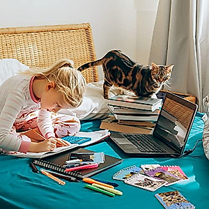 24 Pcs Cat Animal Mini Notepad Cute Cat Small Spiral Pocket Notebook Pet Cat Memo Spiral Tiny Notebooks for Cat Party Favors Kids Birthday Party Classroom School Goodie Bags Stuffers(Vivid Style)