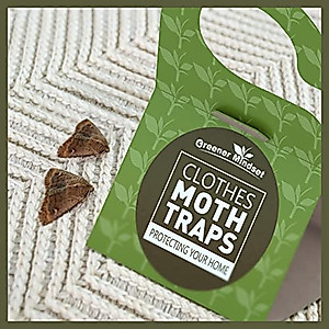 Greener Mindset Clothes Moth Traps 7-Pack - Capture Clothing Closets, Carpets & Wool - Webbing & Case-Bearing
