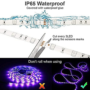 LUNSY Smart LED Strip Lights 32.8 ft/10m, Music Sync, Bluetooth APP Controlled, Remote Control, RGB, 300LED SMD5050, IP65 Waterproof Outdoor, 12V, Alexa Controlled