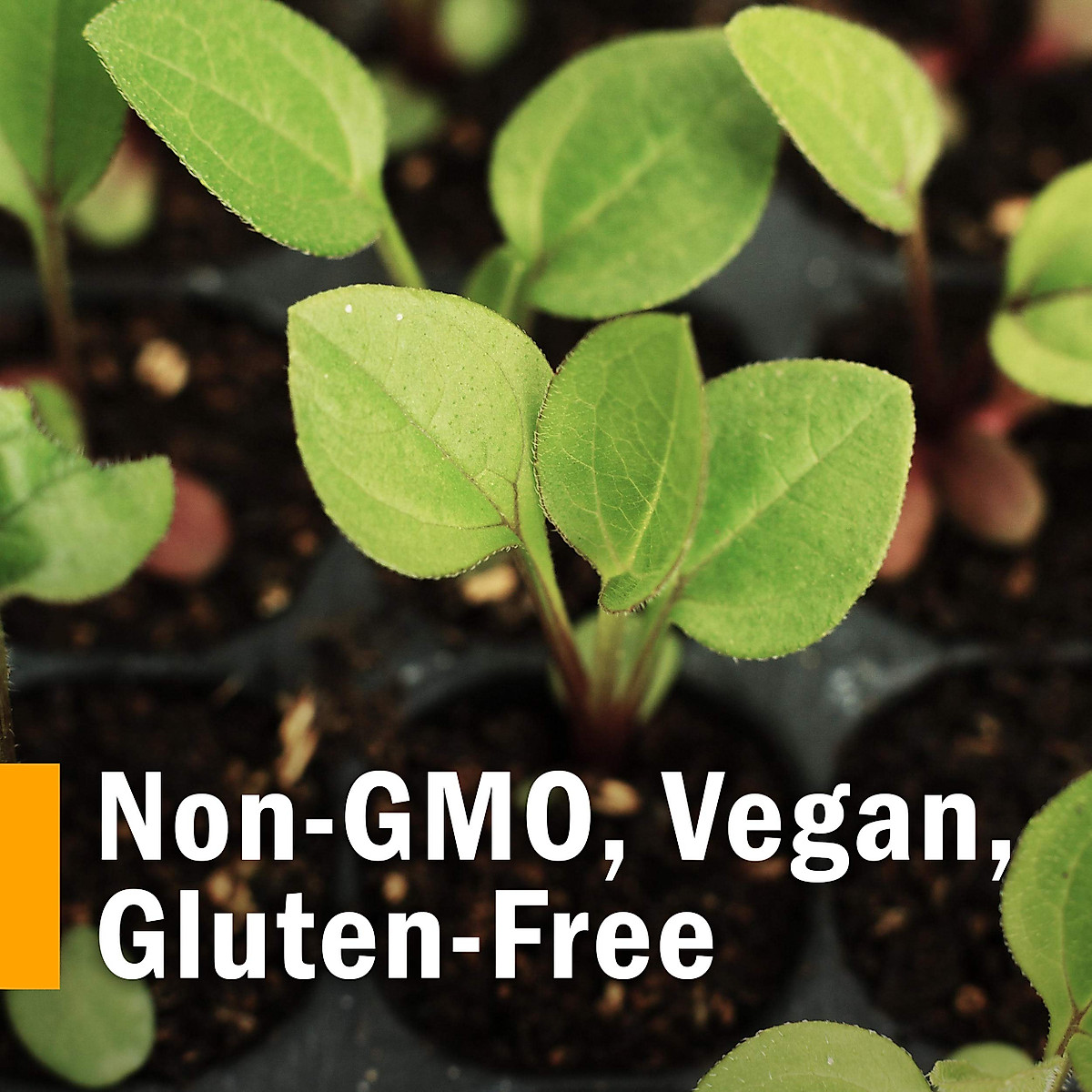 Herb Pharm Urinary System Support Liquid Herbal Formula, 1 Fl Oz