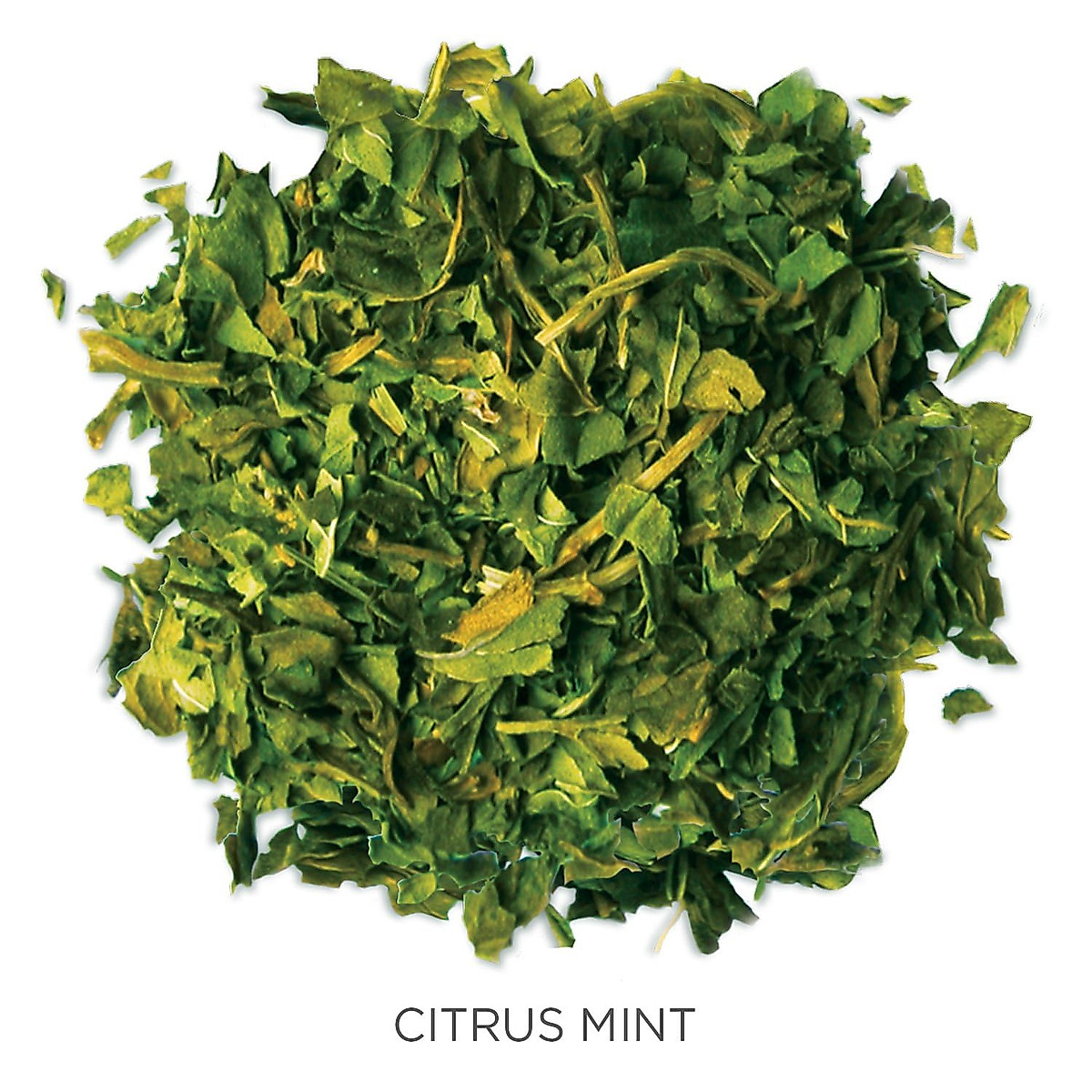 Tea Forte Organic Herbal Tea, Makes 35-50 Cups, 1.76 Ounce Loose Leaf Tea Canister, Citrus Mint