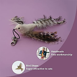 FUPUSUN 2022 Latest Cat Feather Toys, Interactive Cat Toys Kitten Toys, 1PCS Elasticity Cat Wand Toy and 3PCS Teaser Refills Tail Bird Feathers, Cat Toys for Indoor Cats Kitten Play Chase Exercise