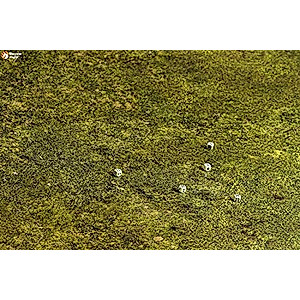 Warzone Studio 3’ x 3’ Rubber Battle Mat: Meadows + Bag