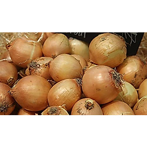 Gaea's Blessing Seeds - Onion Seeds - Non-GMO Heirloom Seeds with Easy to Follow Instructions (Walla Walla Sweet Onion) 93% Germination Rate