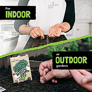 Vegetable Seeds for Planting Home Garden - 13 Variety Seed Packets - Heirloom Vegetables - Bell Pepper Seeds, Zucchini Seeds, Kale Seeds, Cucumber Seeds, Peas Seeds & More - Veggie Garden Starter Kit