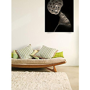Imagekind Wall Art Print entitled Lotus Pods II by Dawn Leblanc | 36 x 47