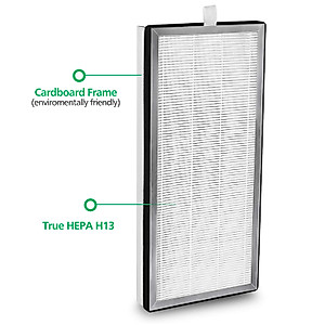 40 Replacement Filter H13 HEPA 40 Filter - Compatible with 40 3-in-1 Filters Contains High-Efficiency Activated Carbon Filter, 2 Pack 40 Filter