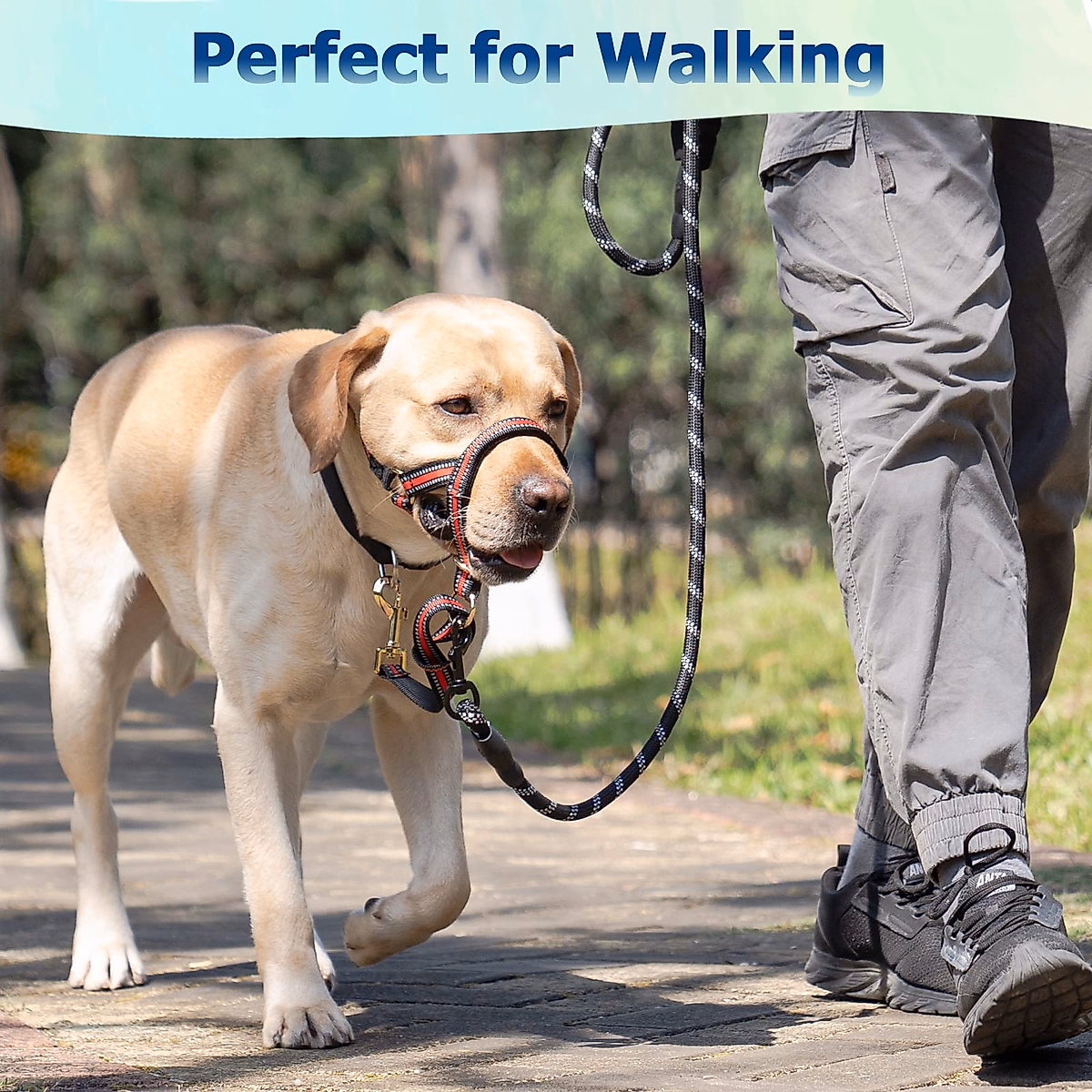 BARKLESS Muzzle Leash for Heavy Pullers, No Pull Stylish Head Halter for Medium Large Aggressive Dogs, Gentle Dog Face Harness Stops Pet Pulling and Choking on Walks, Adjustable Head Collar (XL, Red)