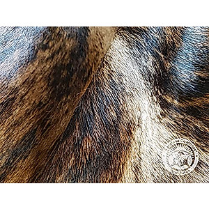 Genuine Brindle Cowhide Rug Large Size 6 x 7-8 ft. 180 x 240 cm