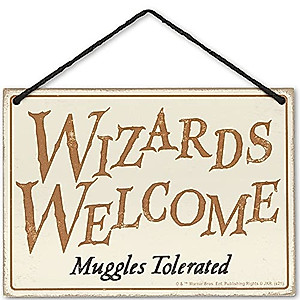 Open Road Brands Harry Potter Double Sided Hanging Wood Wall Decor - Wizards Welcome, Muggles Tolerated and Wizardry at Work, No Muggles Allowed
