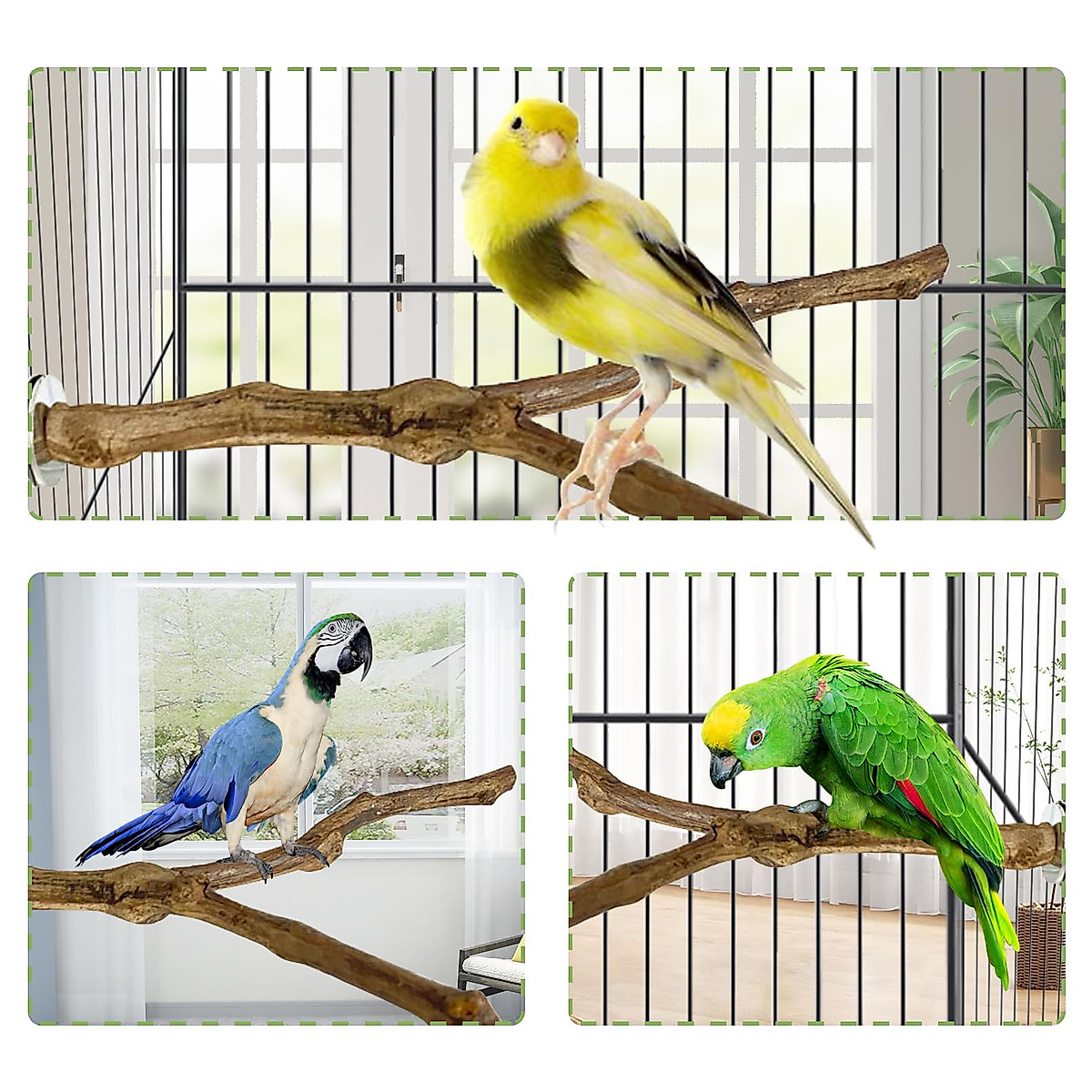 kathson Natural Parrot Perch Bird Stand Pole Wild Grape Stick Paw Grinding Fork Parakeet Climbing Standing Branches Toy Chewable Cage Accessories for Small Budgies Cockatiels Lovebirds 3PCS