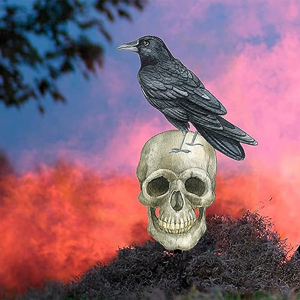 Halloween Yard Sign Crow On Skeleton Head Scary Stakes Yard Decorations Halloween Party Decorations Garden Stakes Decor Yard Signs Yard Art for Patio, Garden, Porch Halloween Party Decor 1 Pack