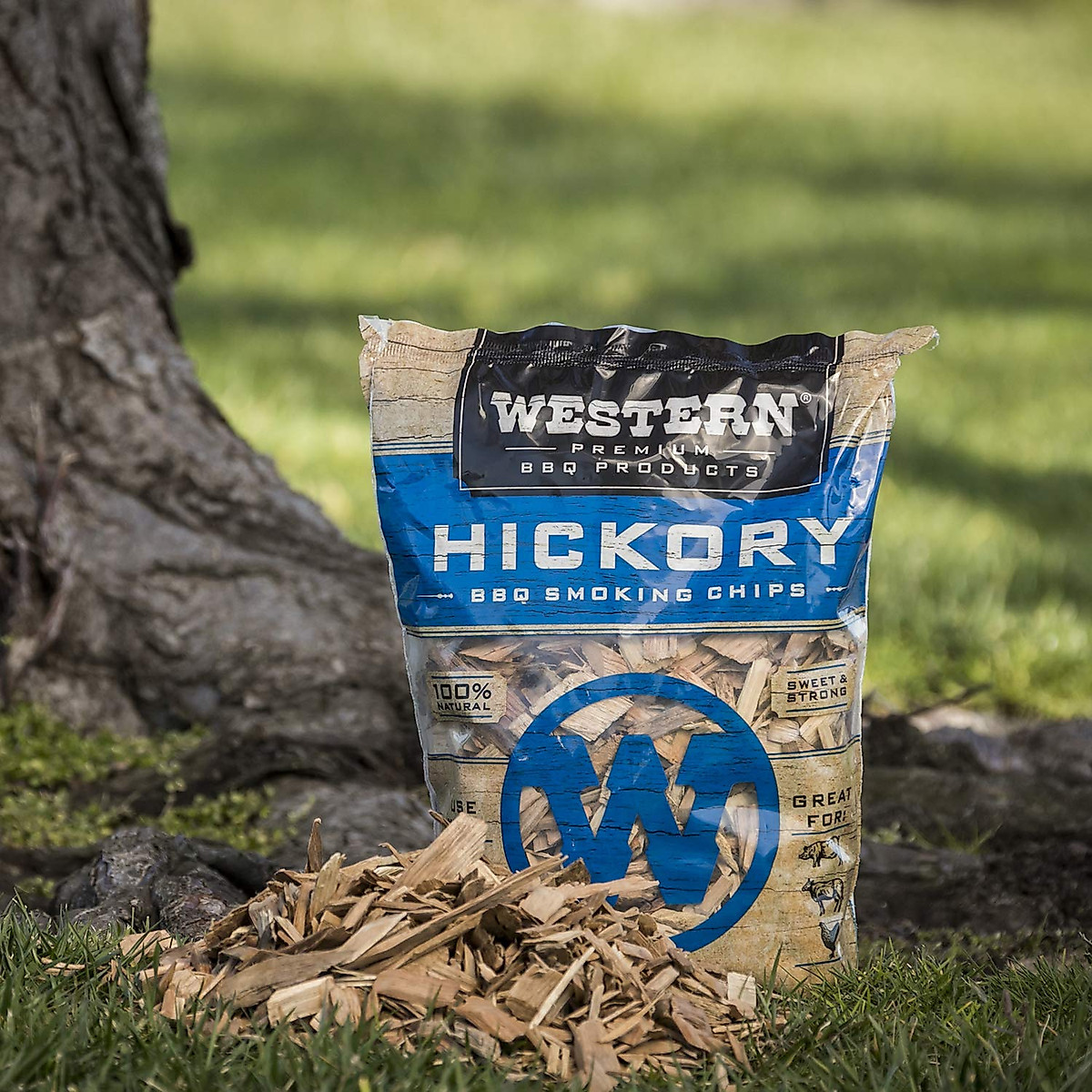 Western Premium BBQ Products Hickory BBQ Smoking Chips, 180 cu in, 6 pack