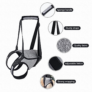 HDKUW Dog Lifting Harness,Dog Hind Legs Support Strap, Pet Portable Recovery Walking Training Lift Strap with Handle for Elderly Injured Amputation Disabled Dogs (XL)