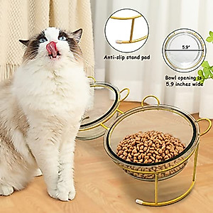 BNOSDM Elevated Cat Bowls, Glass Raised Pet Bowl, 12° Tilted Double Dishes Set for Food and Water, Transparent Kitty Feeding Station with Gold Iron Stand for Indoor and Outdoor Kitten