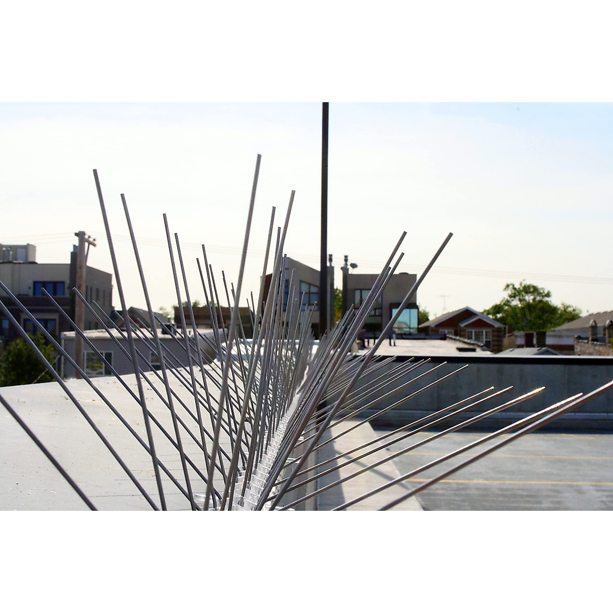 Bird-X Stainless Steel Bird Spikes, 8-inch Extra-Wide Spikes, Bird Spikes for Pigeons and Other Small Birds, Easy to Install, Contains 2 ft. Strips, Covers 100 Linear Feet Area, EWS-100