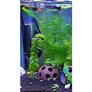 OrgMemory Ceramic Shelters, 4 pcs, Fish Tank Accessories Cave Décor, Small Fish House, Aquarium Hideout, Swim Holes Aquatic, Aquarium Cave for Freshwater and Saltwater Fish Tank (hemispherical)