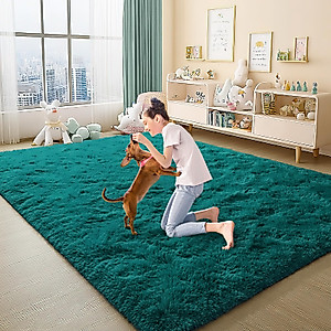 BENRON Living Room Rug 4x6 Area Rug Teal Green Fluffy Rugs for Bedroom Fuzzy Rugs for Girls Kids Room Shaggy Nursery Rug Memory Foam Rug Anti-Slip Carpets