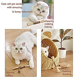 DuLaSeed Cat Toys, 2 Pack Natural Silvervine Sticks Chew Toys for Kittens Teeth Cleaning,Catnip Toys for Indoor Cats Interactive, Edible Kitty Toys for Cats Dental Care