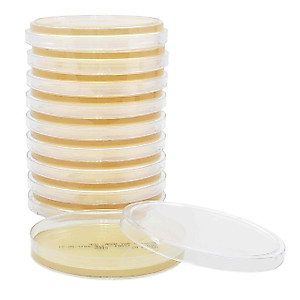 Tryptic Soy Agar (TSA), USP, a General Growth Medium for Microorganisms, 10 Plates Per Pack, by Hardy Diagnostics