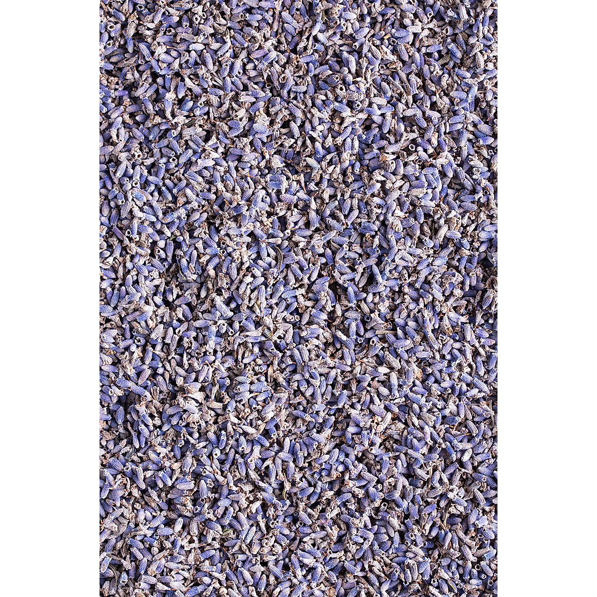 Organic Lavender Tea | 100% Certified Organic | Food Grade Dried Lavender Flowers | Perfect for Tea, Baking, Lemonade, DIY Beauty, Sachets & Fresh Fragrance | 100% Raw Albanian Harvest | Large 4oz