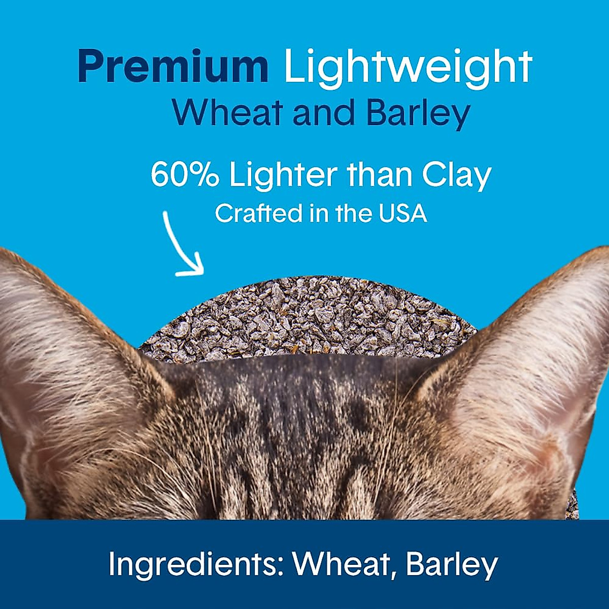 Boxie® Unscented 30 Day Natural Odor Control Cat Litter, 11.5lb Lightweight Plant Based Kitty Litter