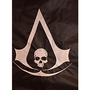 Assassin's Creed IV 4 Black Flag from Limited Collector's Edition