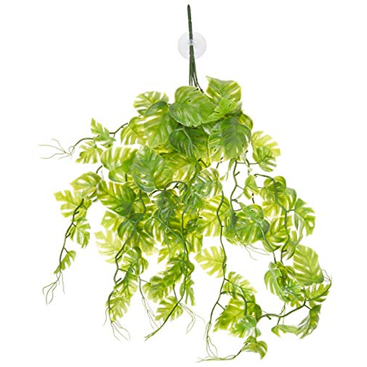 Penn-Plax Reptology Decorative Hanging Terrarium Plant Vines for Reptiles and Amphibians – 24” Length – Green