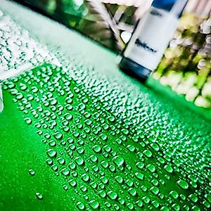 CARPRO Reload Spray Sealant and Sprayer with Sio2 (Quartz) Glass-Like Gloss, Hydrophobicity and Silica Nanotechnology, Repels Dirt, Spray-On, Wipe-Off Car Sealant, 100mL (3.4oz)