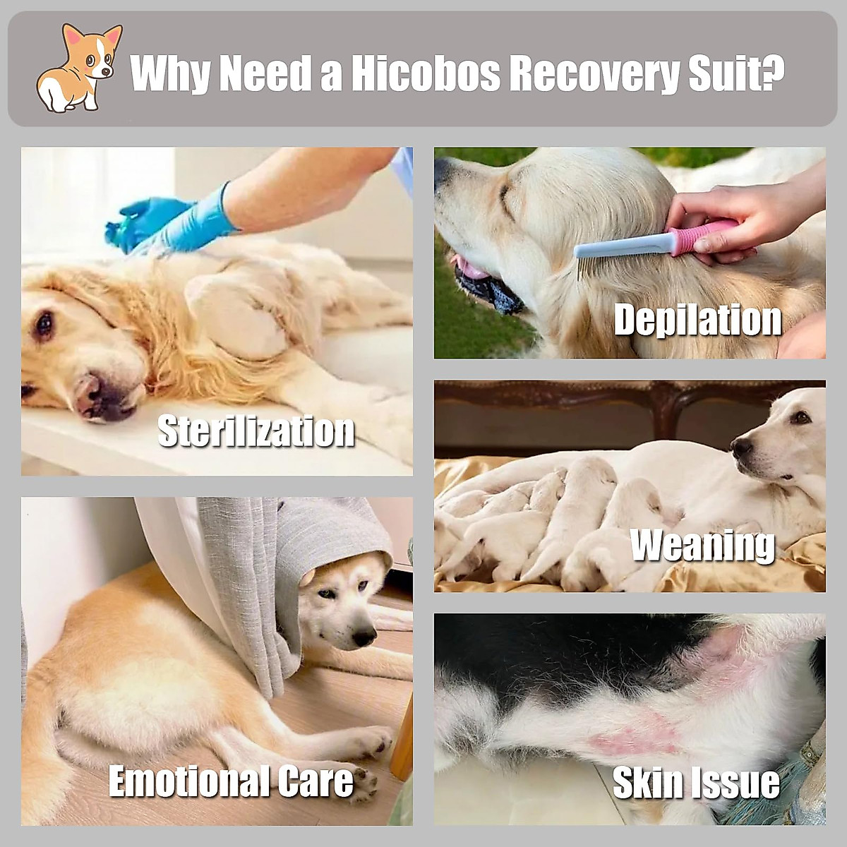 Dog Recovery Suit After Surgery,Dog Surgery Onesie Cone E-Collar Alternatives for Small Large Medium Cats Dogs,Spay Neuter Body Suit Pajamas for Male Female Dogs (Black Red Stripe, X-Large)