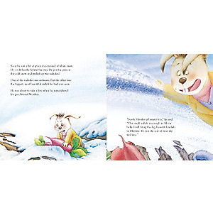 Reycraft Books The Radish is Back Book