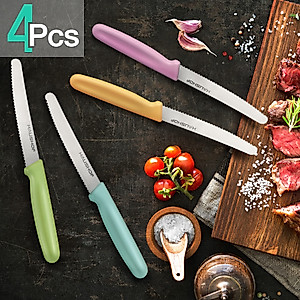 HAUSHOF Steak Knives Set of 4, Serrated Steak Knives, Premium Stainless Steel Steak Knife Set with Gift Box, Assorted Color