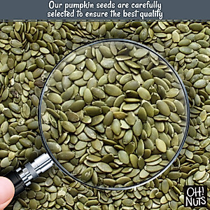 Oh! Nuts Roasted Salted Pumpkin Seeds | All-Natural Protein Power | Fresh, Healthy Keto Snacks | Unshelled Pepitas in 1.25 LB Resealable Bulk Bag | Vegan & Gluten-Free Snacking