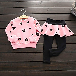 Little Girl Clothes Infant Outfits Set 2 Pieces Long Sleeved Tops and Pants (Pink, 2-3 T)