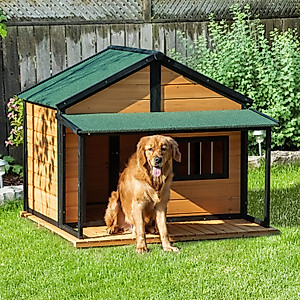 PawHut Outdoor Dog House Cabin Style, Wooden Raised Pet Kennel with Asphalt Roof, Front Door, Side Window, Porch for Medium/Large Dogs, Loading 53 lbs, Yellow