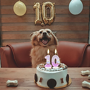 CasaPopz Dog Paw Birthday Number Candles for Cake Decoration, Pink Dog Cat Paw Number 4 Candle, Dog Themed Birthday Cake Topper for Party Decorations Favors Supplies